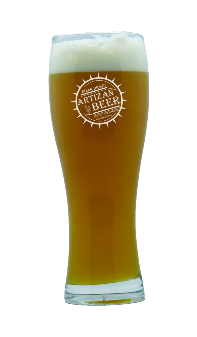 Arhive Bere IPA | Artizan Beer